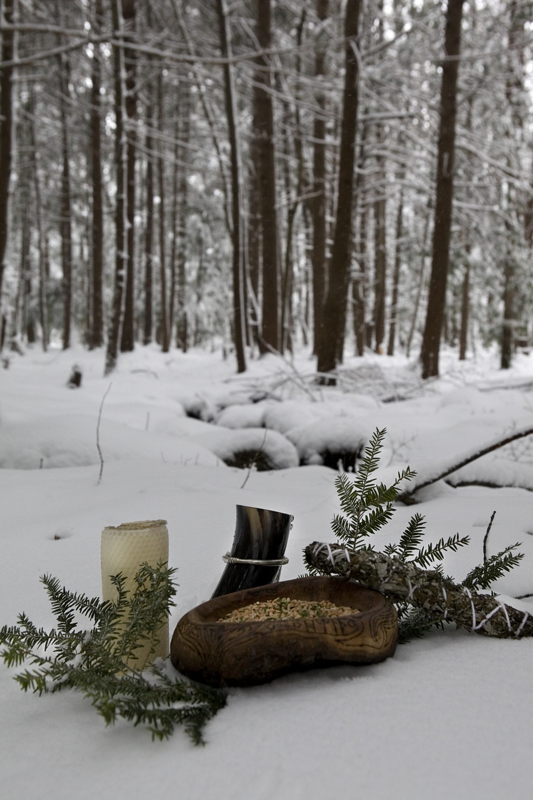 Apprenticeship – Northern Tradition Shamanism Guild