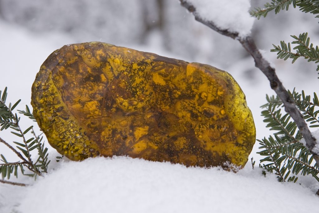 Resources – Northern Tradition Shamanism Guild